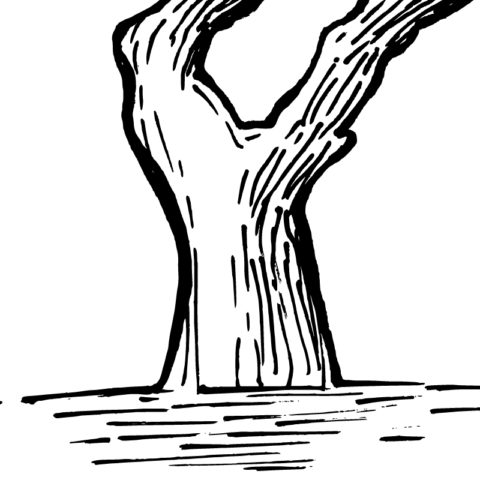 Make Math Moments | Empowering Teachers with Math Activities