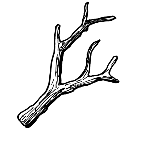 Make Math Moments | Empowering Teachers with Math Activities